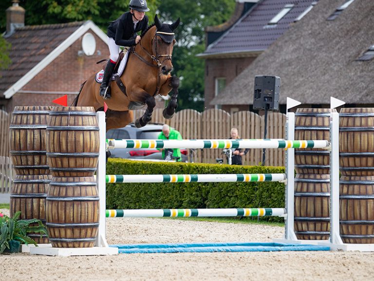 Stall Bergan Ridesenter – Salg av hester – hesteutstyr – undervisning ...